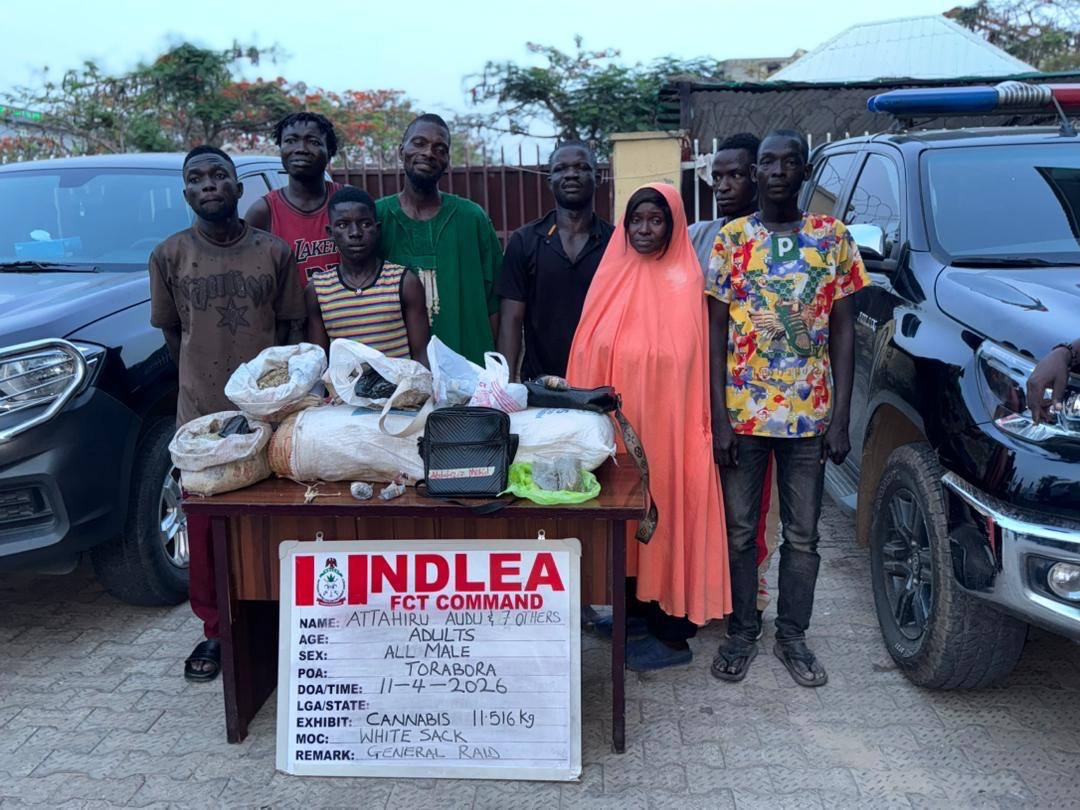 NDLEA dismantles Abuja drug bunks, arrests 132, recovers 220kg illicit ...